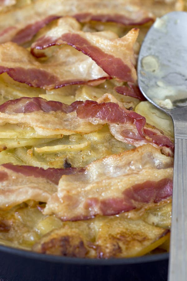 Creamy Bacon and Potato Bake Stock Photo - Image of meat, golden: 31040500
