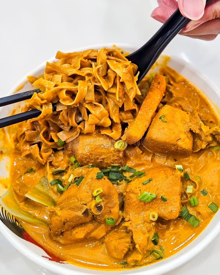 Creamy Curry Laksa with Flat Noodles and Fried Tofu Stock Image - Image ...