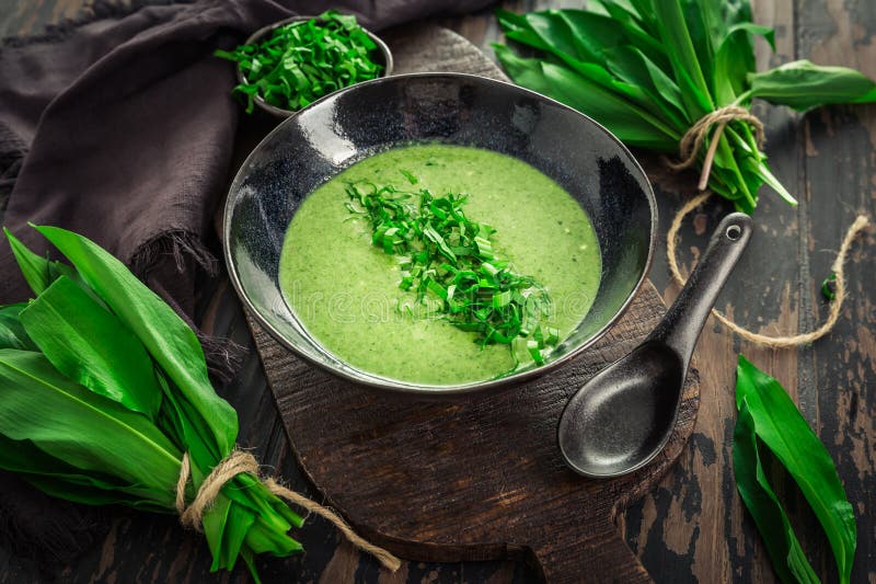 Creamy Homemade Bear Leek Soup or Ramson Soup Stock Photo - Image of ...