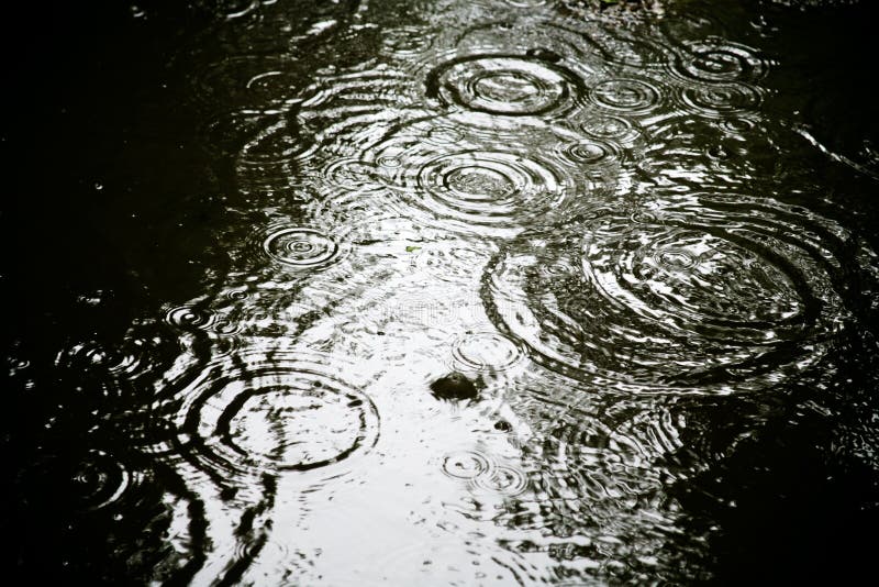 3,235 Rain Spots Stock Photos - Free & Royalty-Free Stock Photos from ...