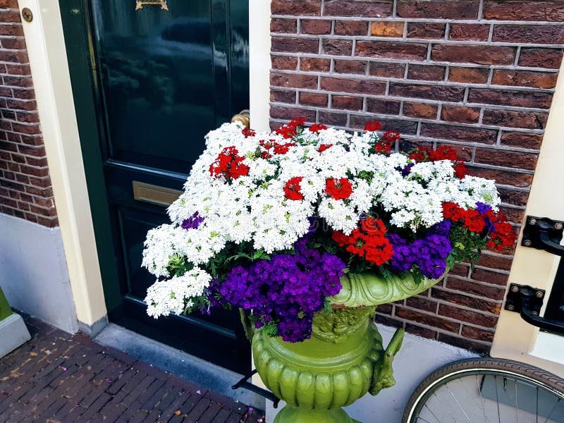 Create something beautiful stock photo. Image of incredible - 93832060