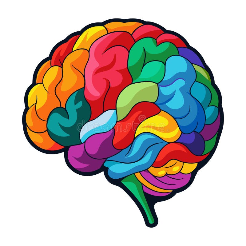 Create a Vector Illustration of the Human Brain with Colorful Sections ...