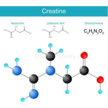 Creatine Science Stock Illustrations – 111 Creatine Science Stock ...
