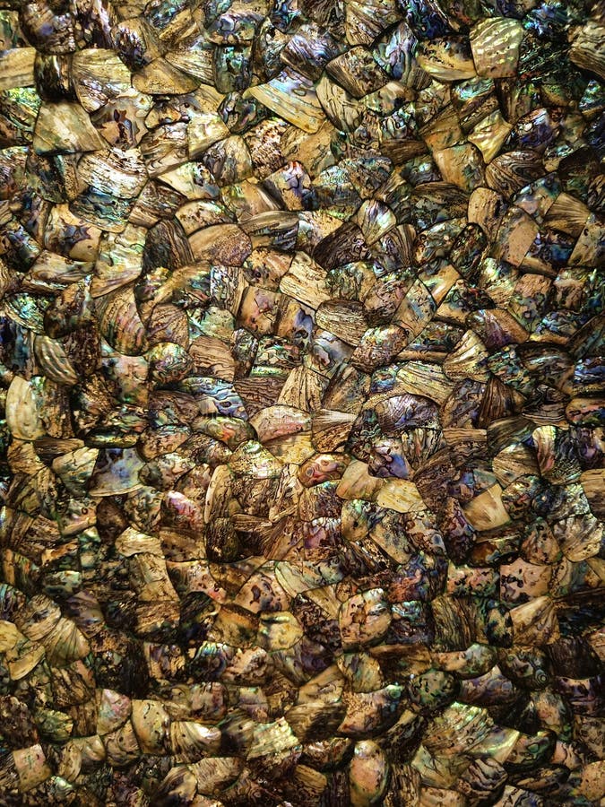 Shell, Mother of Pearl, Rock, Beach, Pebble, Stones, Pebbles Stock ...