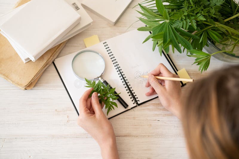 Magnifying Glass, Notepad for Drawing and Ornamental Grasses To Create ...
