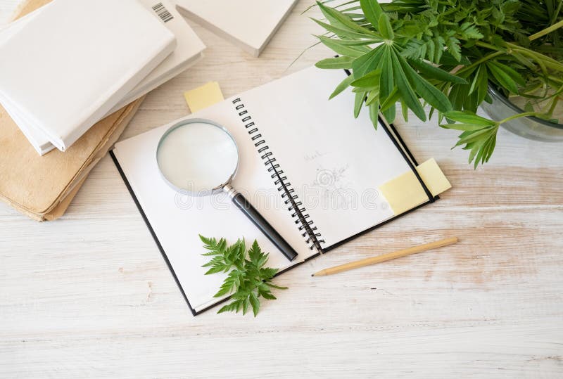 Magnifying Glass, Notepad for Drawing and Ornamental Grasses To Create ...