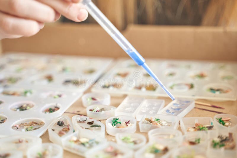 Creating Insect Inspired Resin Art with Precision Tools and Diverse ...