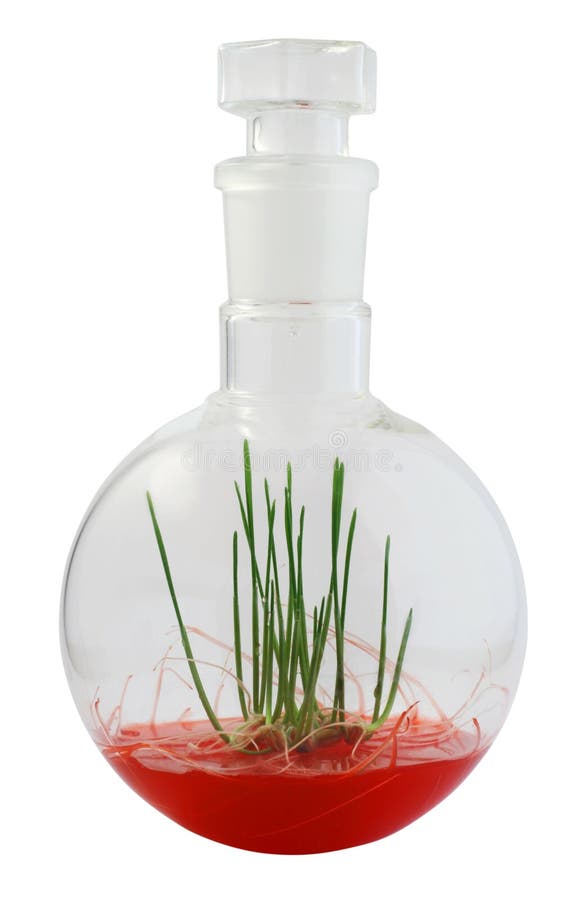 Creating Life Picture. Image: 5013006