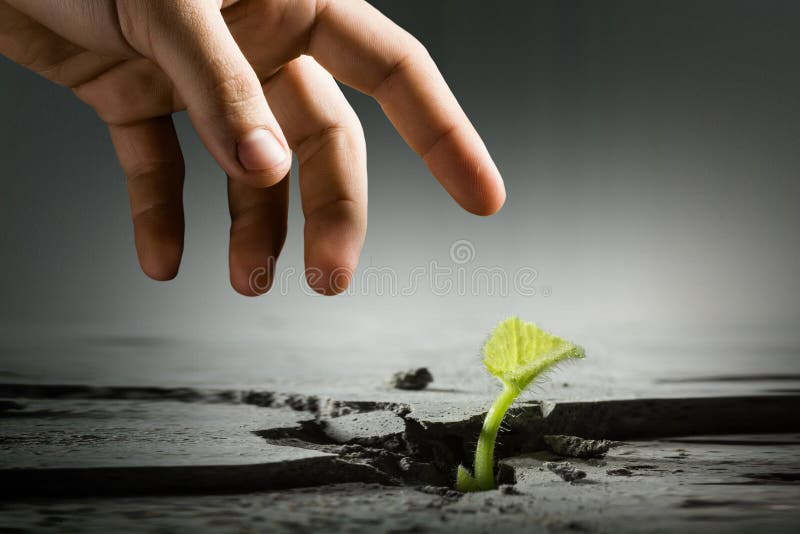 Creating new life stock image. Image of environment, growing - 70481403
