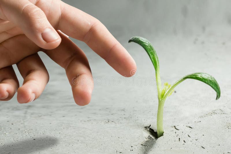 Creating new life stock photo. Image of handful, environmental - 70757806