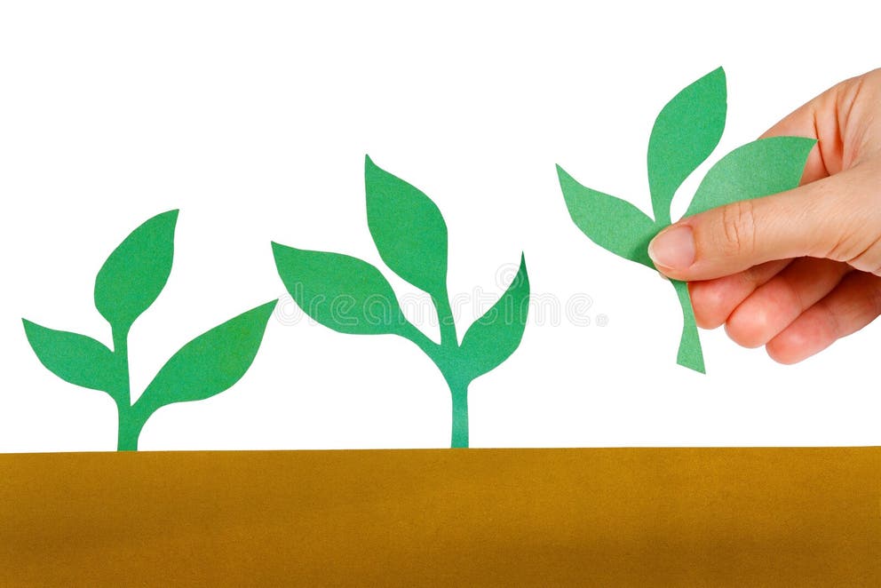 Creating Sprouts of Colored Paper Stock Image - Image of bright, sprout ...