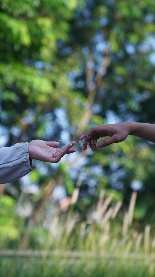 The creation of adam stock image. Image of touch, hand - 227404063