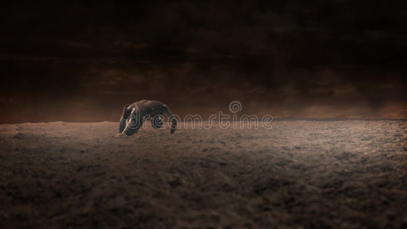 Adam First Man On Earth