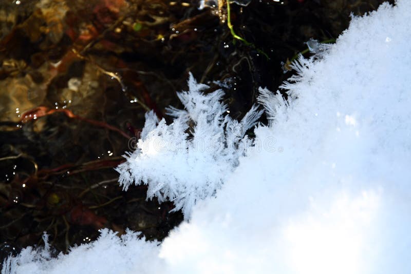 Ice around the torrent stock photo. Image of frost, clean - 170470542