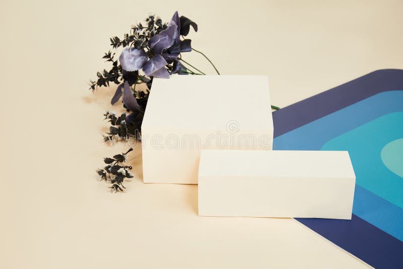 Creative Abstract Background Shoot Image (Holiday Theme) Stock Image ...