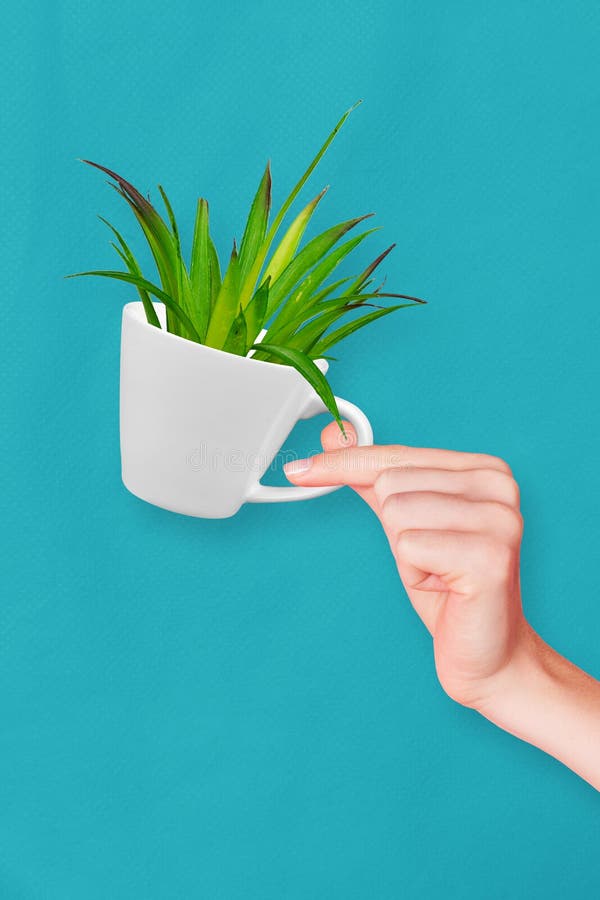 Creative Abstract Template Graphics Collage Image of Arm Holding Cup ...