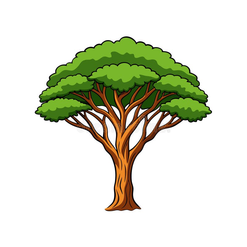 Creative Acacia Tree Illustration on Clean Canvas Stock Illustration ...