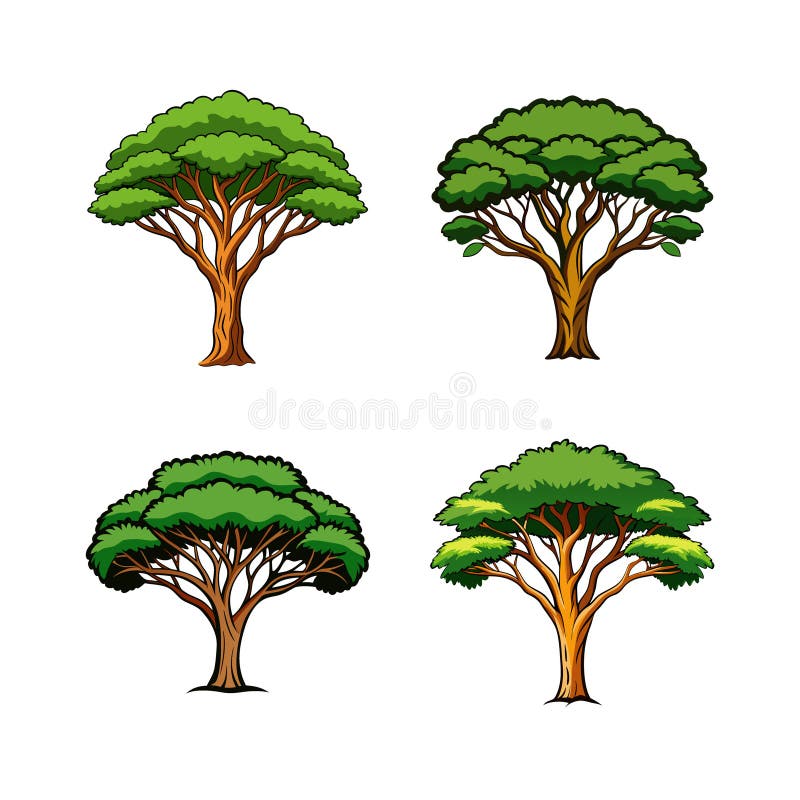 Creative Acacia Tree Illustration on Clean Canvas Stock Vector ...