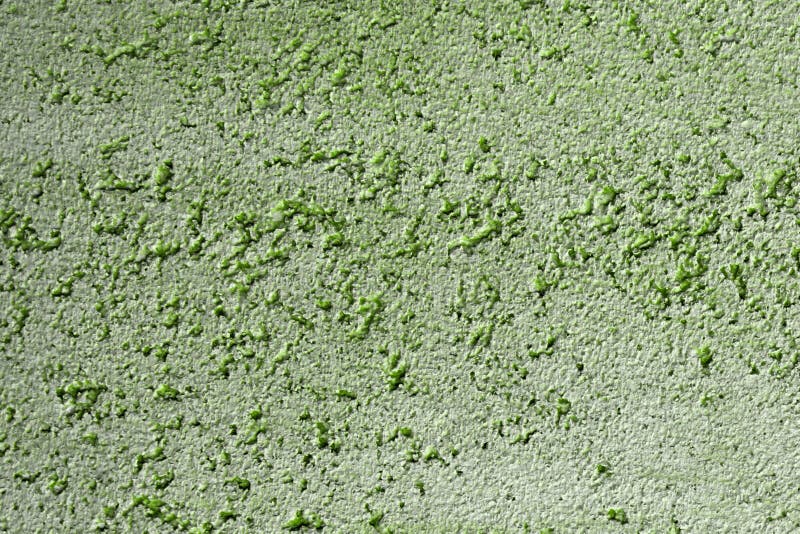 Lime Pit / Limestone Quarry 1 Stock Image - Image of lagoon, trees ...