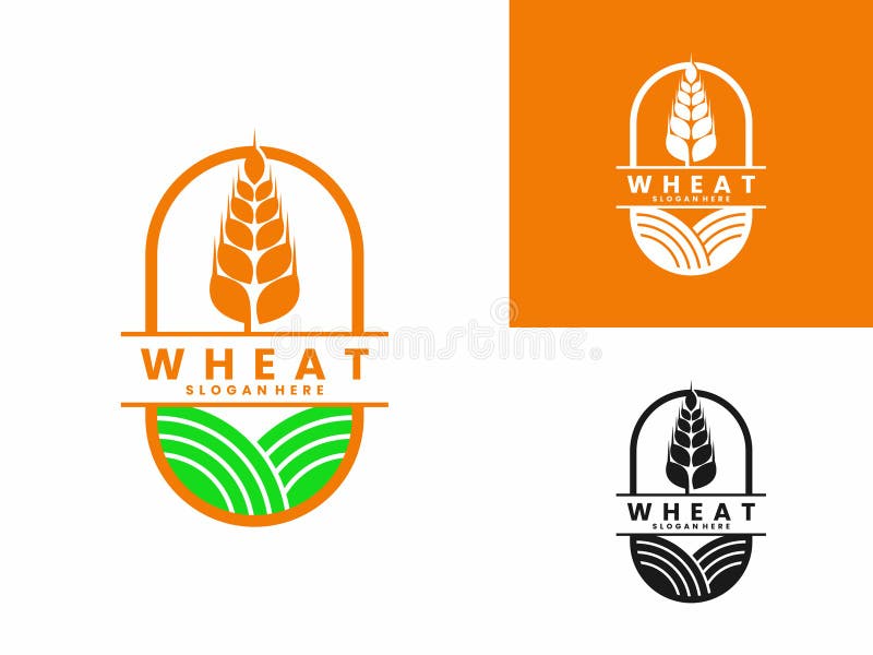 Creative Agriculture Wheat Plant Logo Design Vector Template. Vintage ...