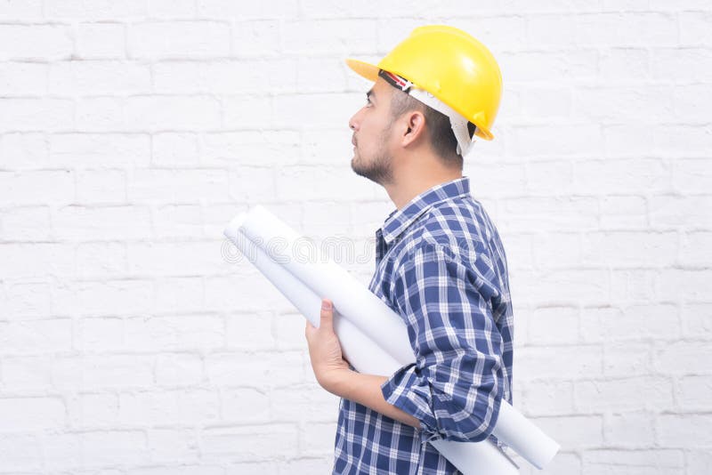 Creative Architect or Engineer Holding Blueprint Rolls Wearing Y Stock ...