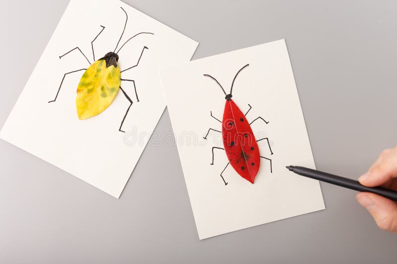 A Creative Art Project Featuring Leaves To Form Insect Designs. Perfect ...