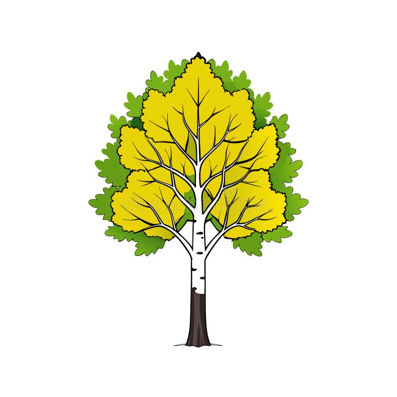 Creative Quaking Aspen Tree Artwork Stock Illustration - Illustration ...