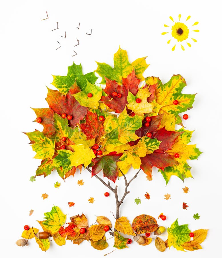 Creative Autumn Concept. Tree Shape Made with Autumn Leaves and Berries ...