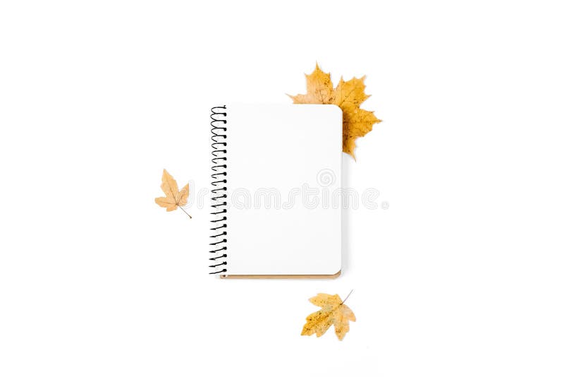 Creative Top View Flat Lay of Desk with Modern Smartphone, Laptop, Pen ...