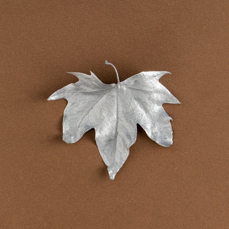 Creative Autumn Silver Dry Leaves on a Brown Background. Holiday ...