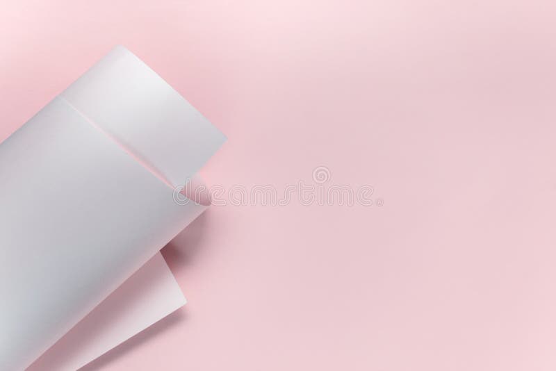Creative Background with Pink Paper Roll, Fold on Pink Background Stock ...