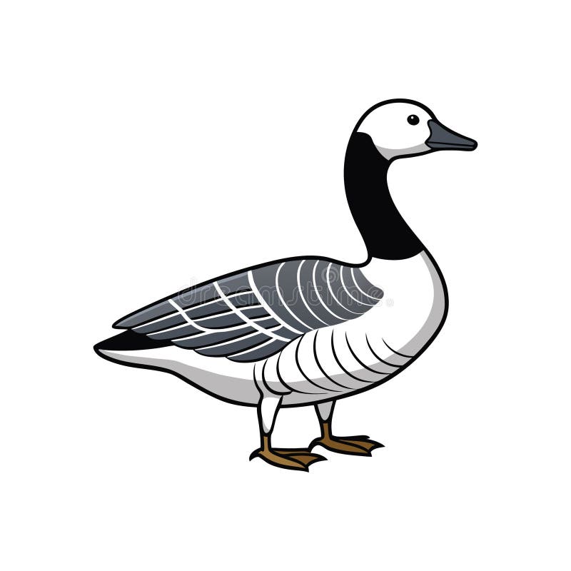 Creative Barnacle Goose Outline Illustration Stock Photo - Illustration ...