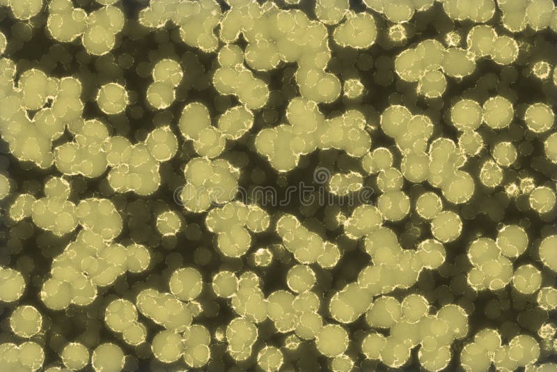 Creative Beautiful a Lot Bio Cells Computer Graphic Texture Background ...