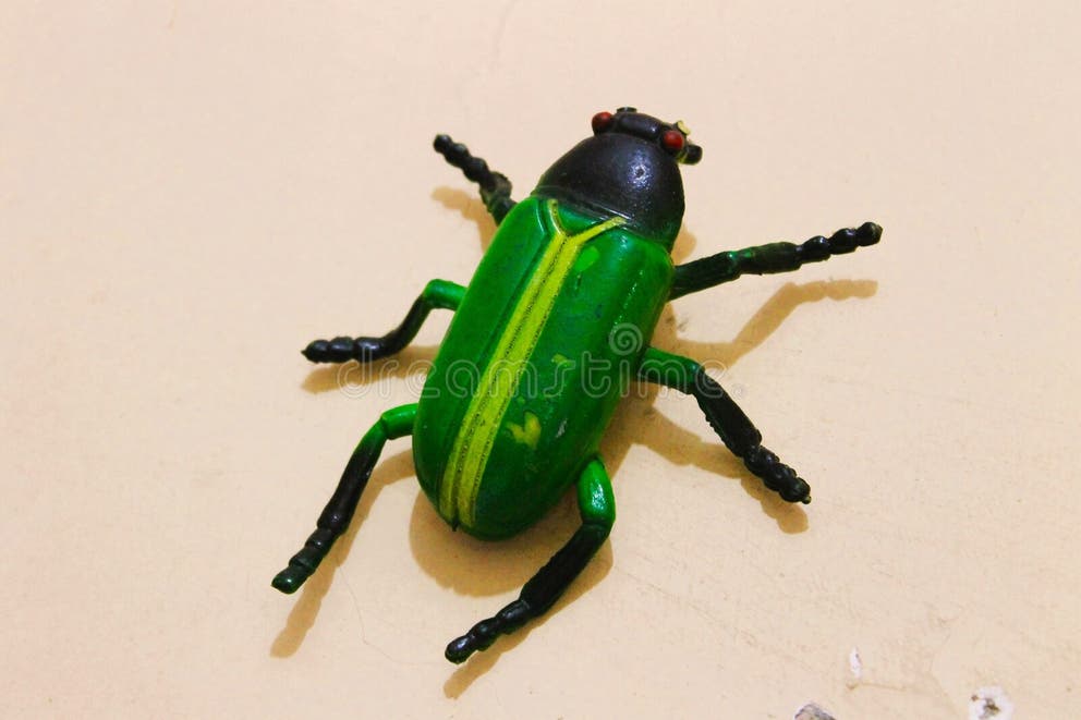A Creative Beetle Wall Decoration Stock Image - Image of weevil, color ...