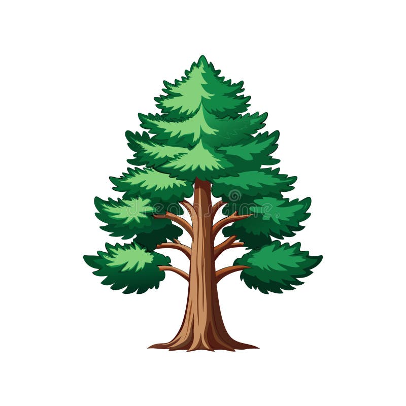 Deodar Tree Stock Illustrations – 57 Deodar Tree Stock Illustrations ...