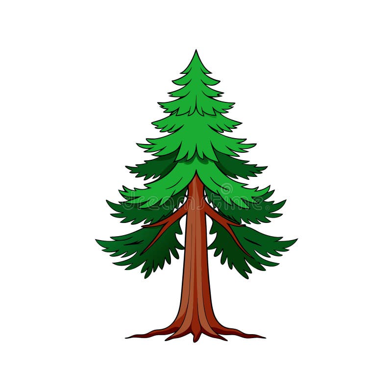 Creative Douglas Fir Tree Bold Design Stock Illustration - Illustration ...