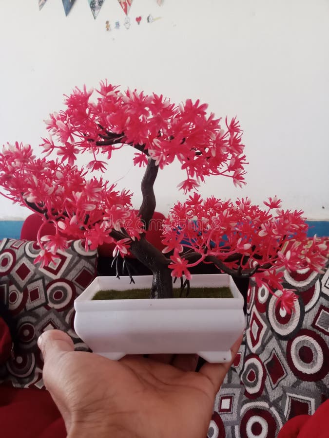 Creative Bonsai Trees from Plastic Stock Photo - Image of bonsai, trees ...