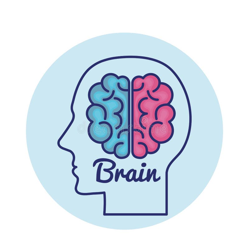Creative Brain Concept Icon Stock Vector - Illustration of intelligence ...