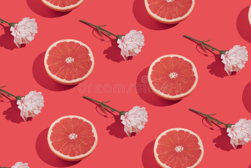 Creative Bright Red Pattern with Grapefruit and Pink Flower. Modern ...