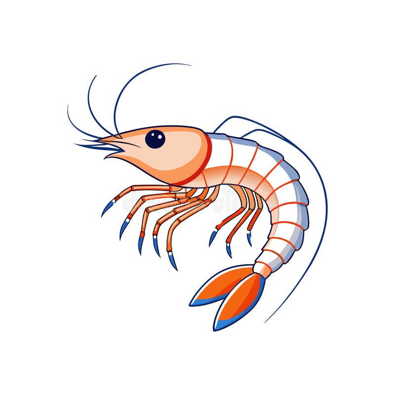 Creative Brine Shrimp Coloring Animal Illustration Stock Illustration ...