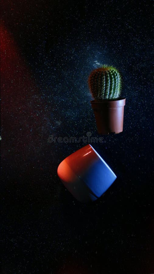 A Creative Cactus Flew into Space To Conquer the Universe Stock Photo ...