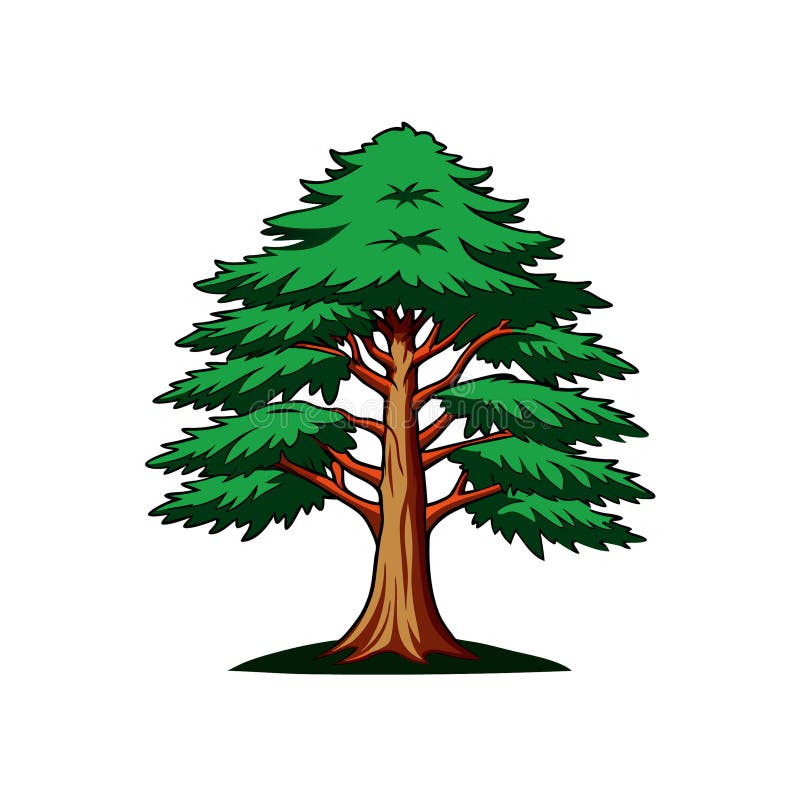 Creative Cedar Tree Bold Design Stock Illustration - Illustration of ...