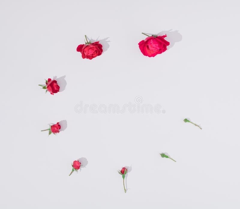 Creative Circle of Red Roses on White Background. Minimal Flat Lay ...