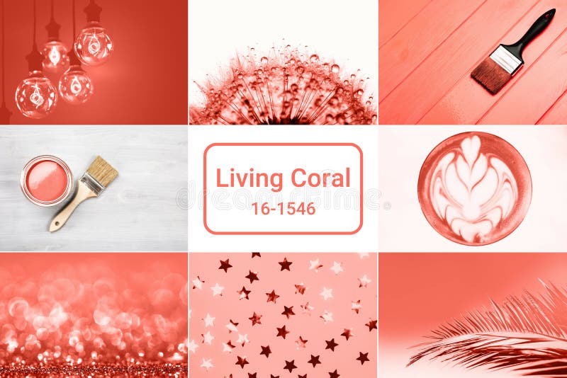 Coral Collage Stock Illustrations – 1,144 Coral Collage Stock ...