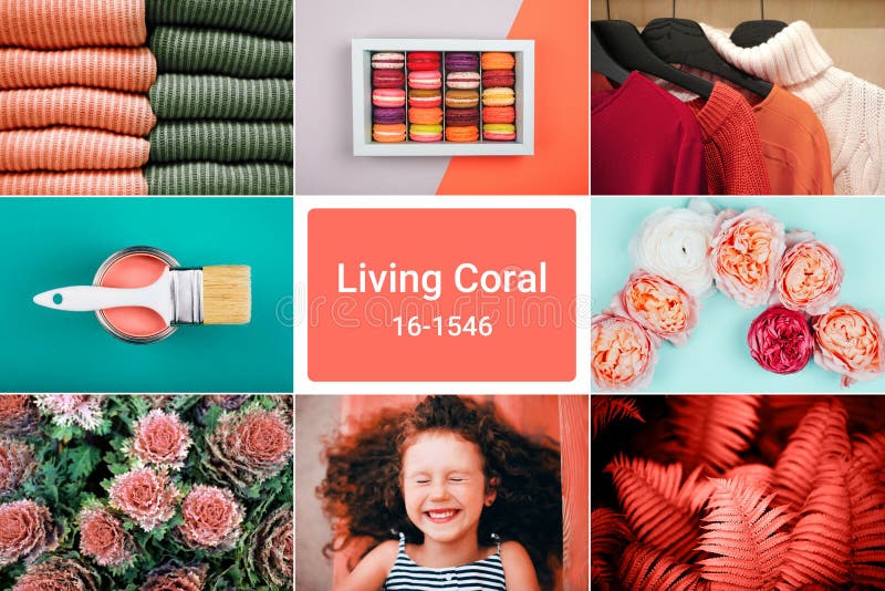 Creative Collage in Living Coral Color Stock Image - Image of 161546 ...