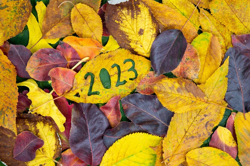 Creative Colorful Year 2023 Fall Concept with Leaves. Stock Photo ...