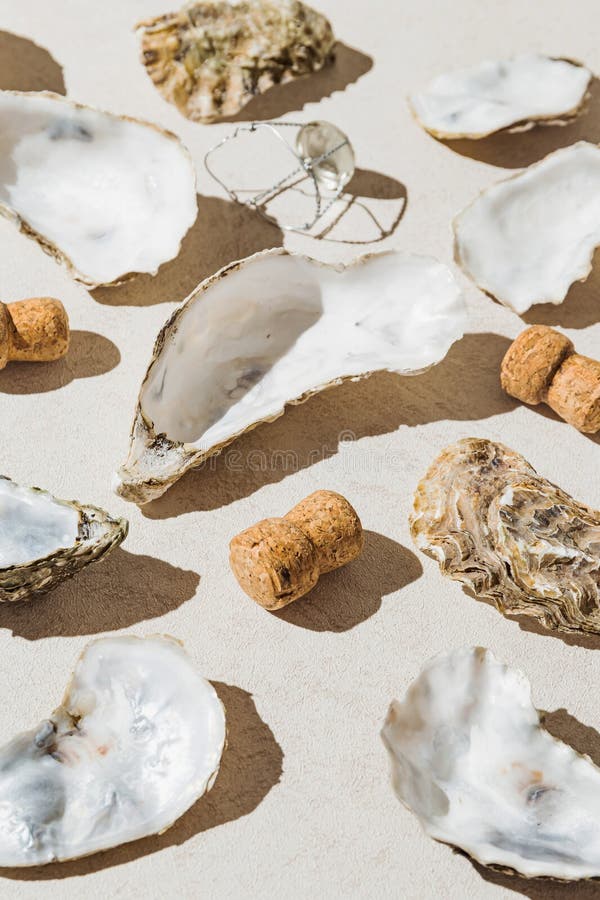 Creative Composition Made of Oyster Shells, Champagne Corks and Metal ...