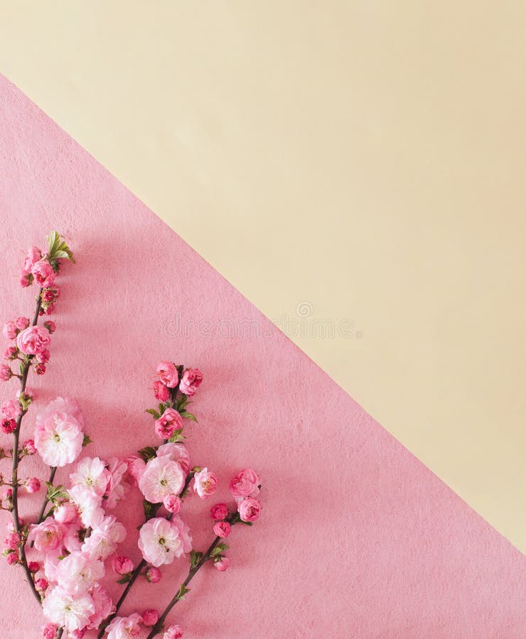 Creative Composition of Pink Flowers and Leaves. Flower Scape Flat Lay ...