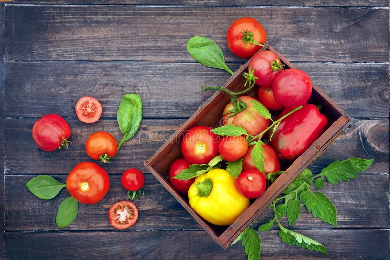 Vintage Tomatoe Basket Stock Photos - Free & Royalty-Free Stock Photos from Dreamstime