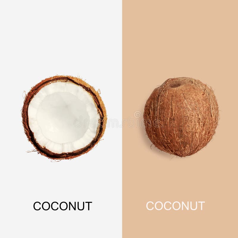 Creative Concept of Coconut. Healthy Food and Cosmetics Stock Photo ...